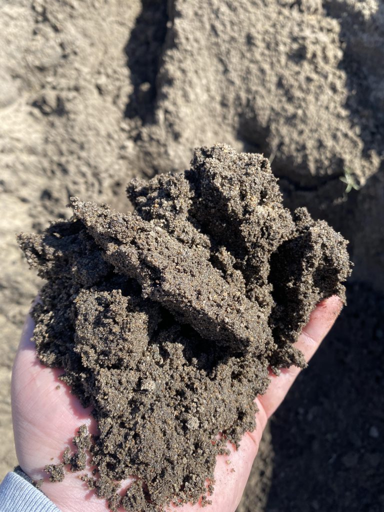 Native Soil Mix | Perth Sand and Soil Pty Ltd